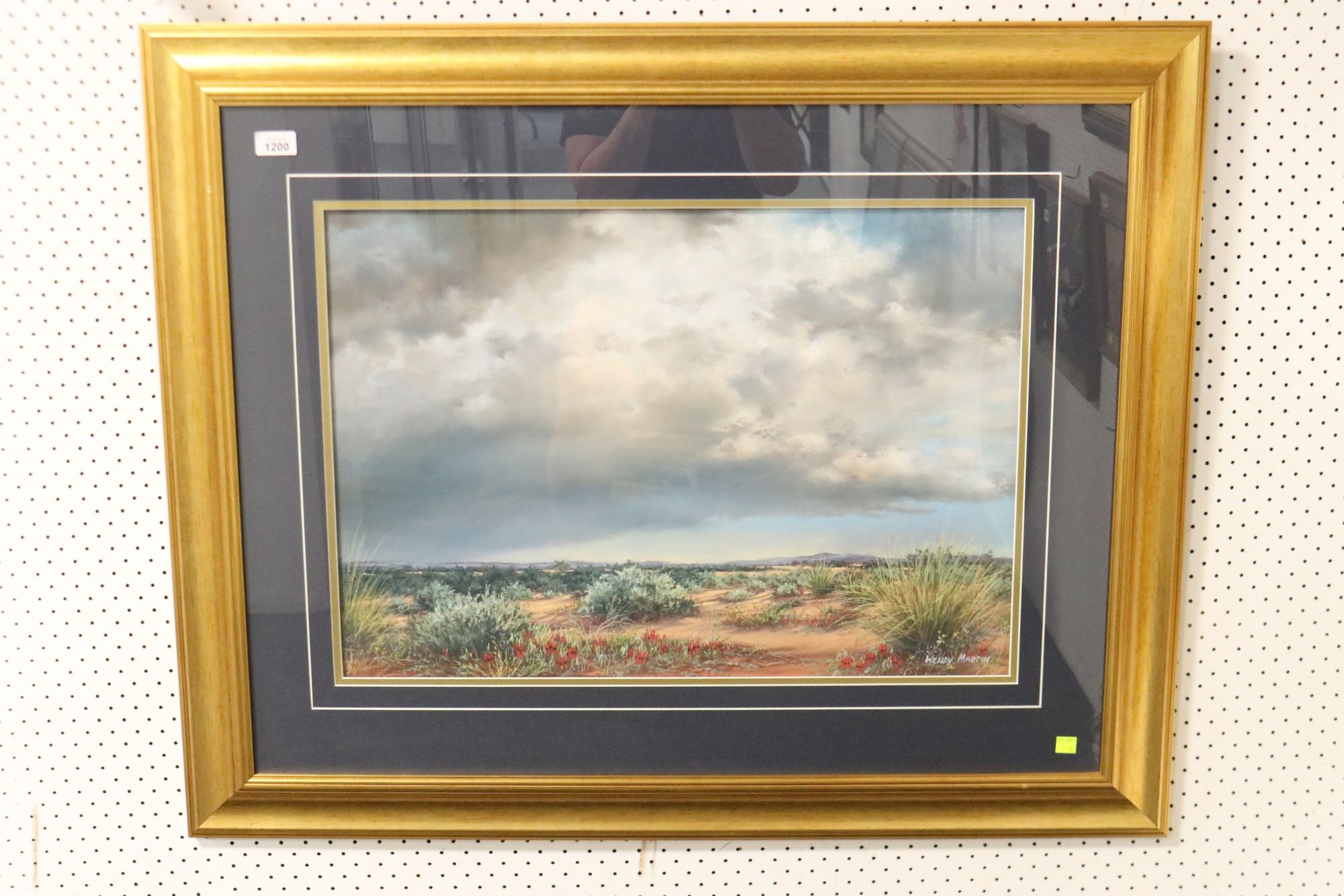 Wendy Martin | Sturt Desert Pea | MutualArt