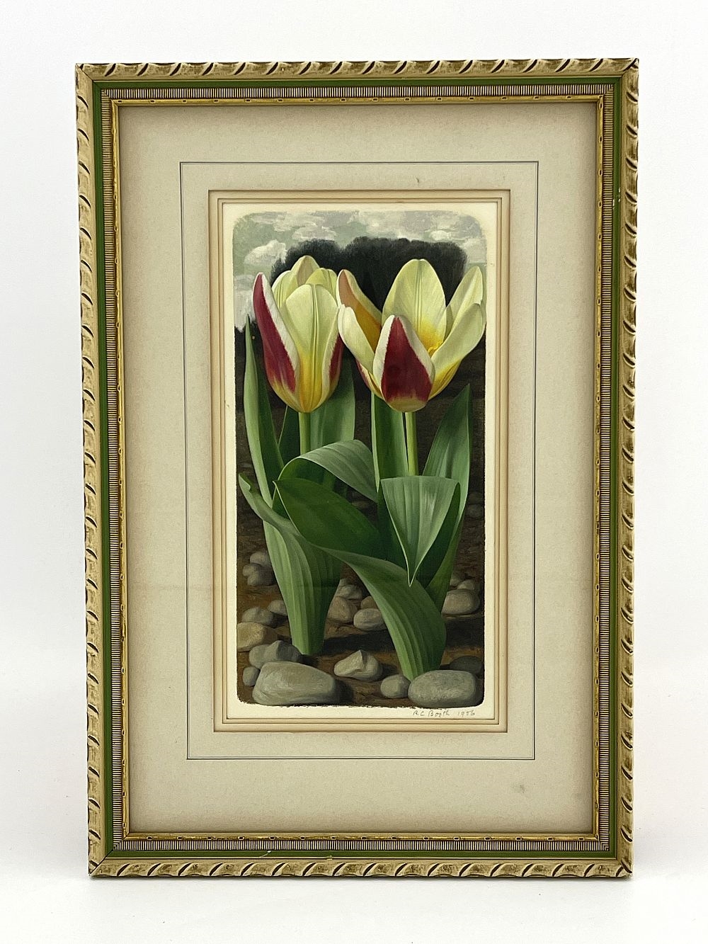 Raymond Booth | Tulippa Kaufmanniana var 'Elliott' (1956) | MutualArt