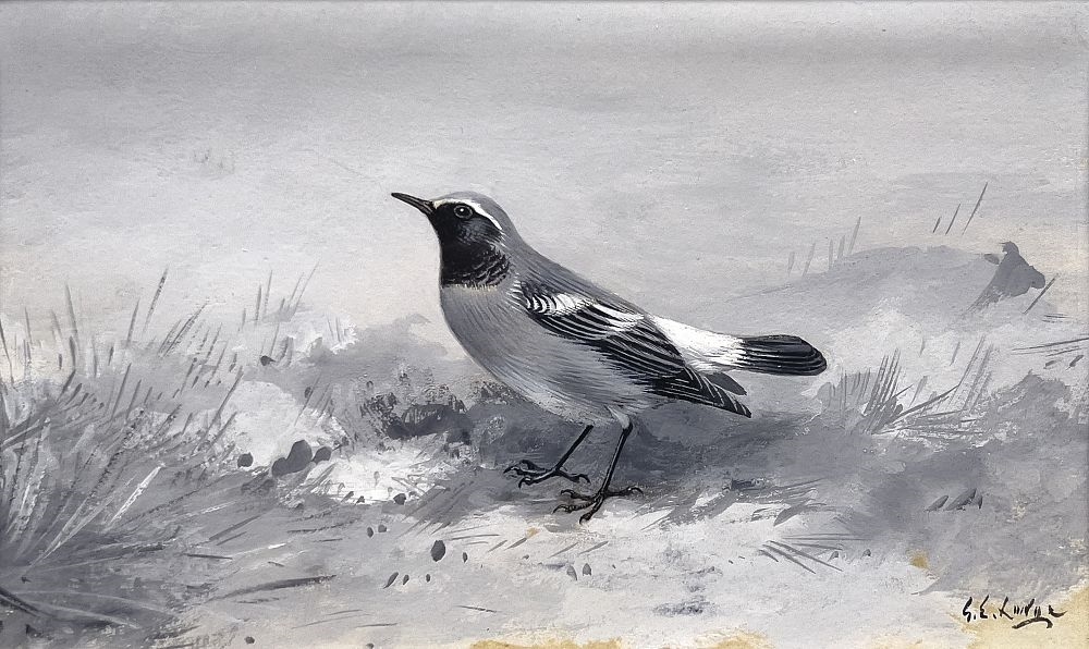 George Edward Lodge | A bird in a winter moorland landscape | MutualArt