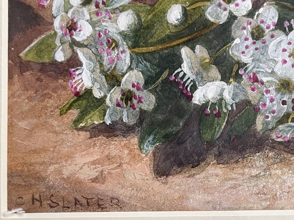 Charles Henry Slater | Still life of a bird nest with eggs and yellow ...
