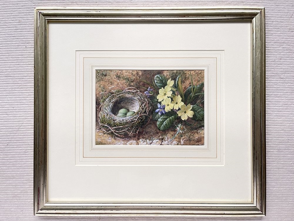 Charles Henry Slater | Still life of a bird nest with eggs and yellow ...