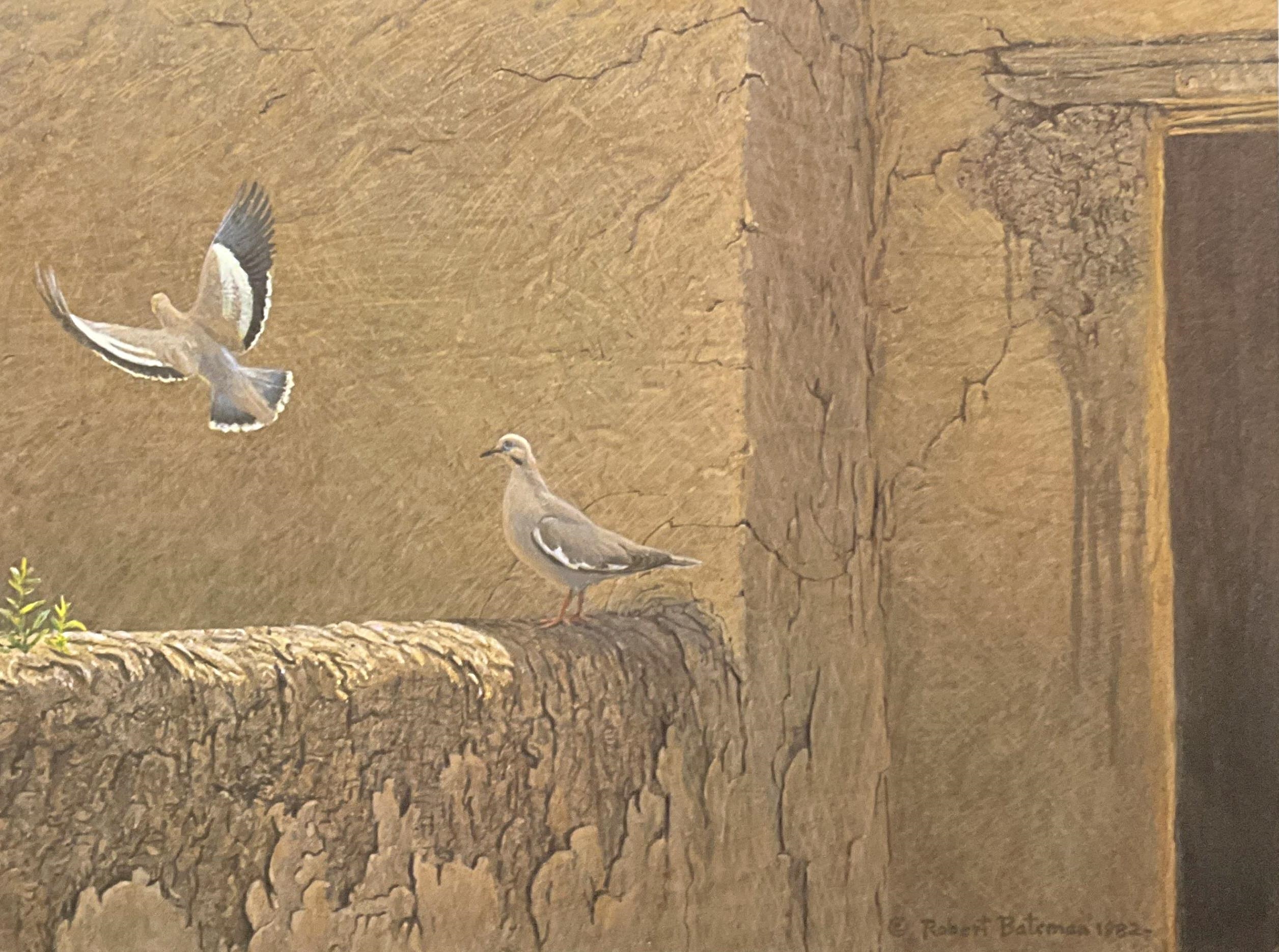 Robert Bateman | Robert Bateman Limited Edition Print | MutualArt