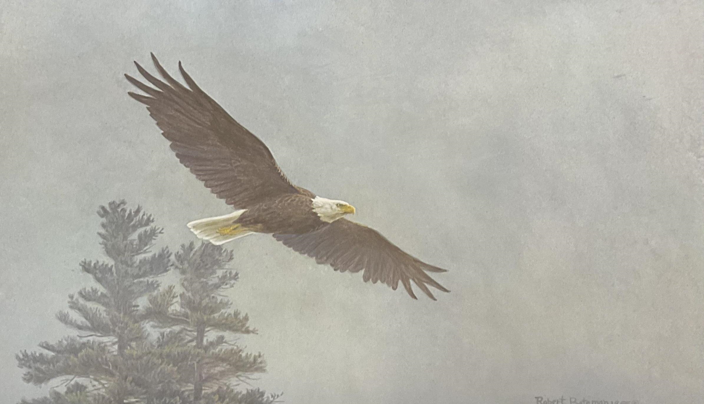 Robert Bateman | Robert Bateman Limited Edition Print | MutualArt