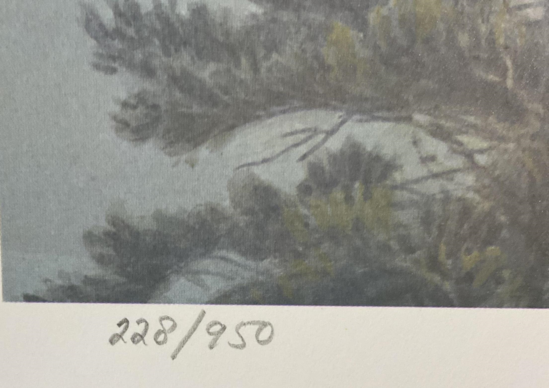 Robert Bateman | Robert Bateman Limited Edition Print | MutualArt