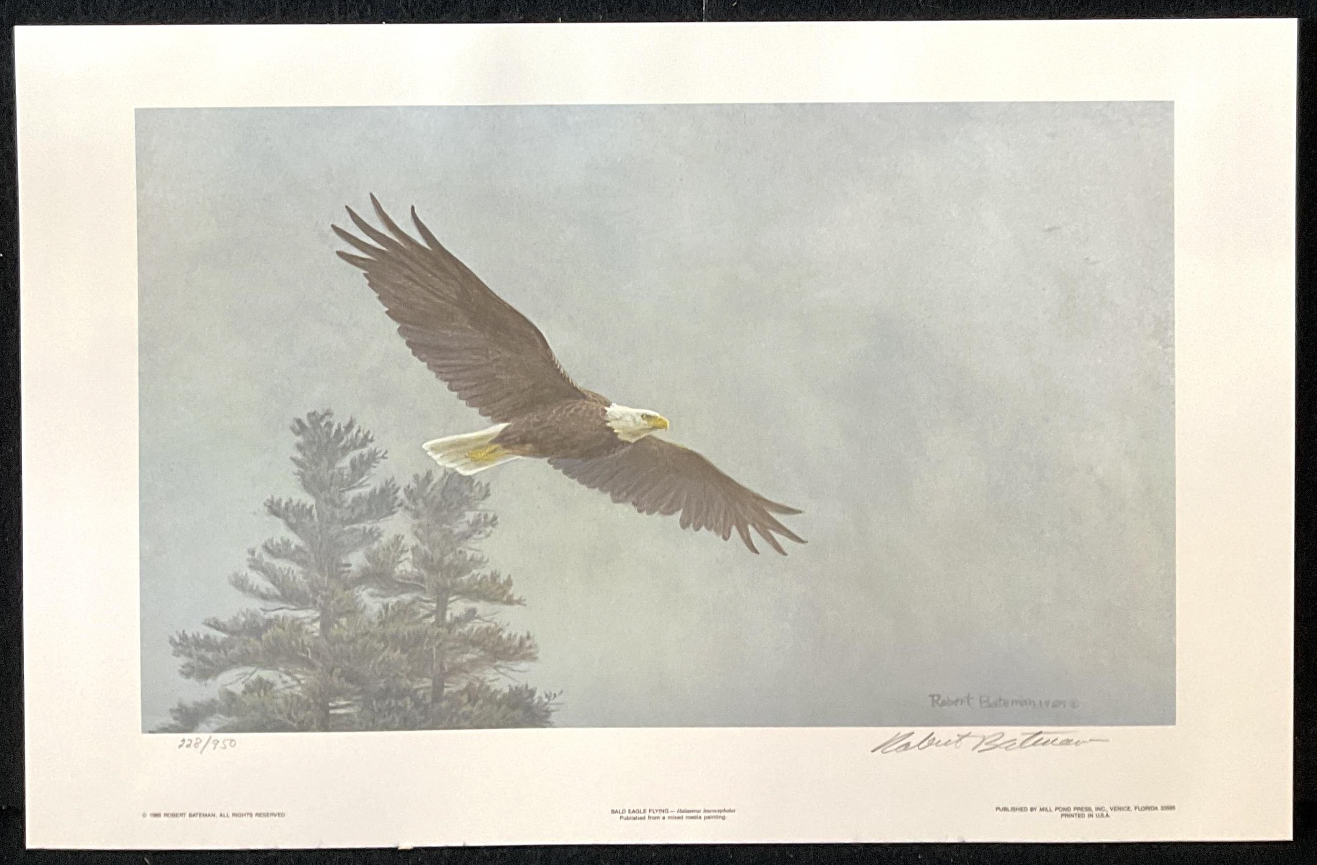 Robert Bateman | Robert Bateman Limited Edition Print | MutualArt