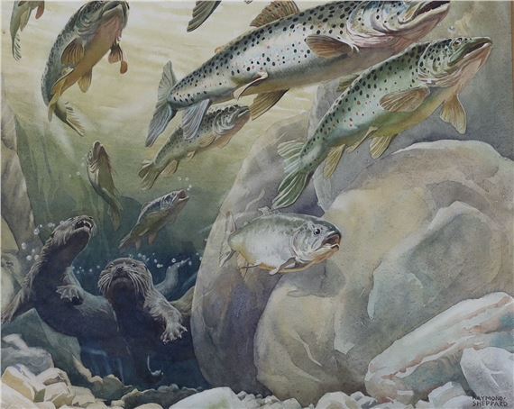 Raymond Sheppard | Otters and fish | MutualArt