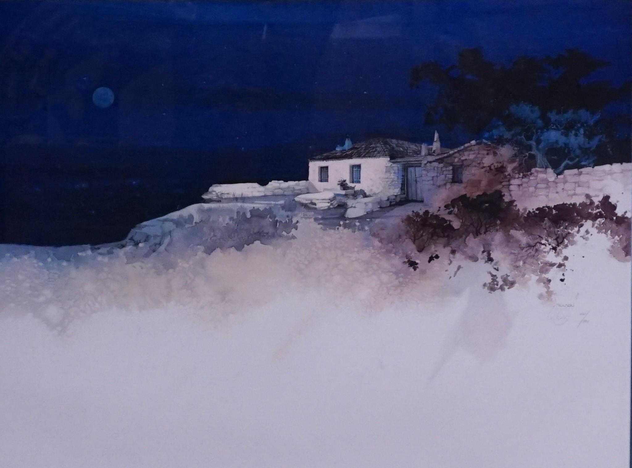 Michael Atkinson | Coastal Night | MutualArt