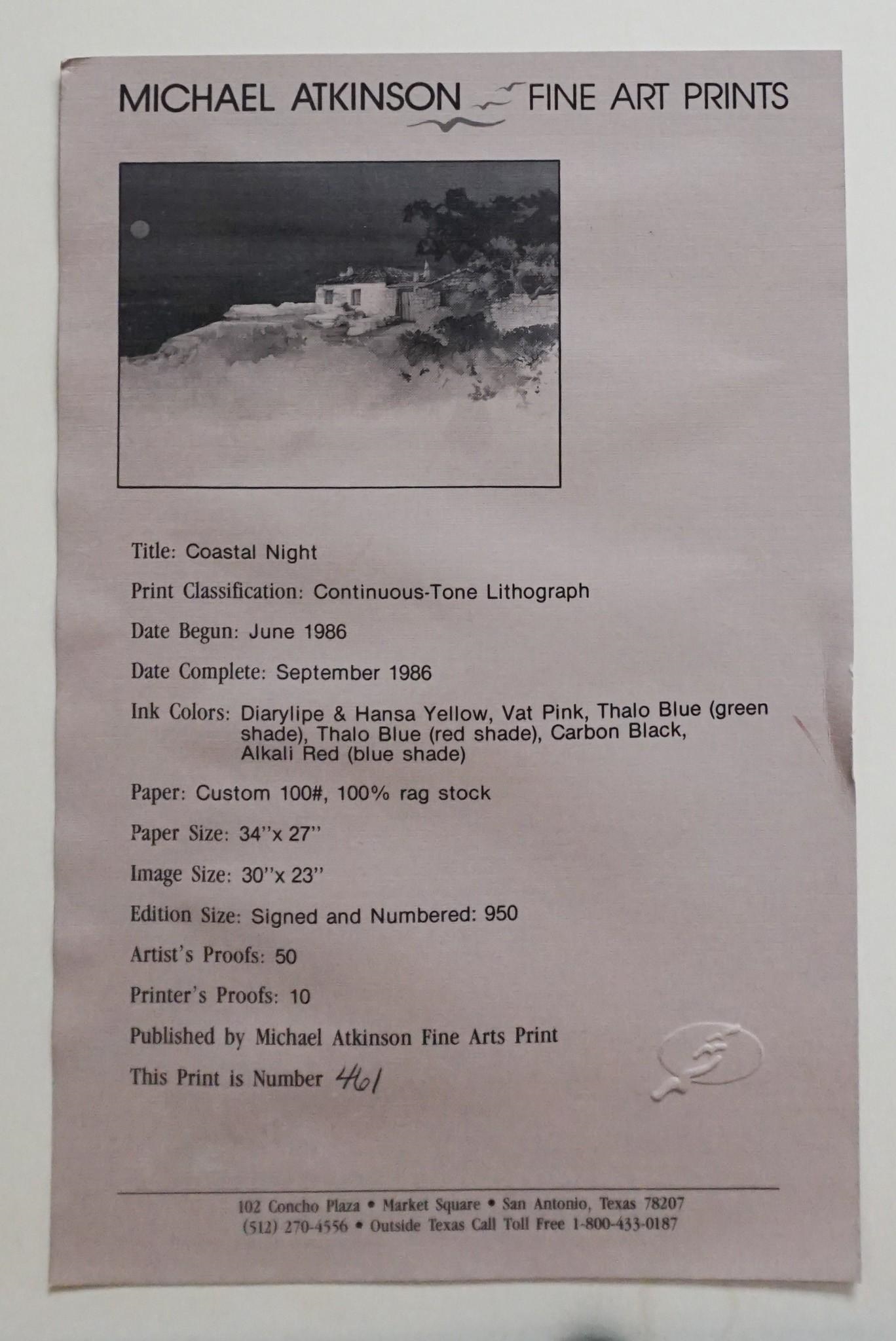 Michael Atkinson | Coastal Night | MutualArt