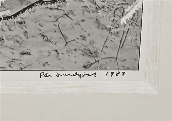 Pär Lundqvist | Hallandsås (1983) | MutualArt