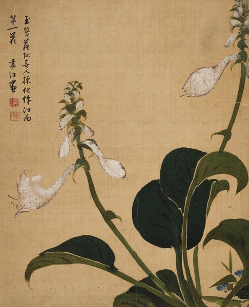 Yuan Jiang | Hosta flower | MutualArt
