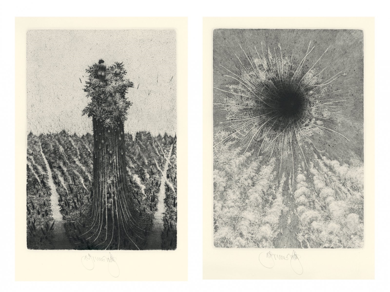 Albin Brunovsky | DREAMS (1985) | MutualArt