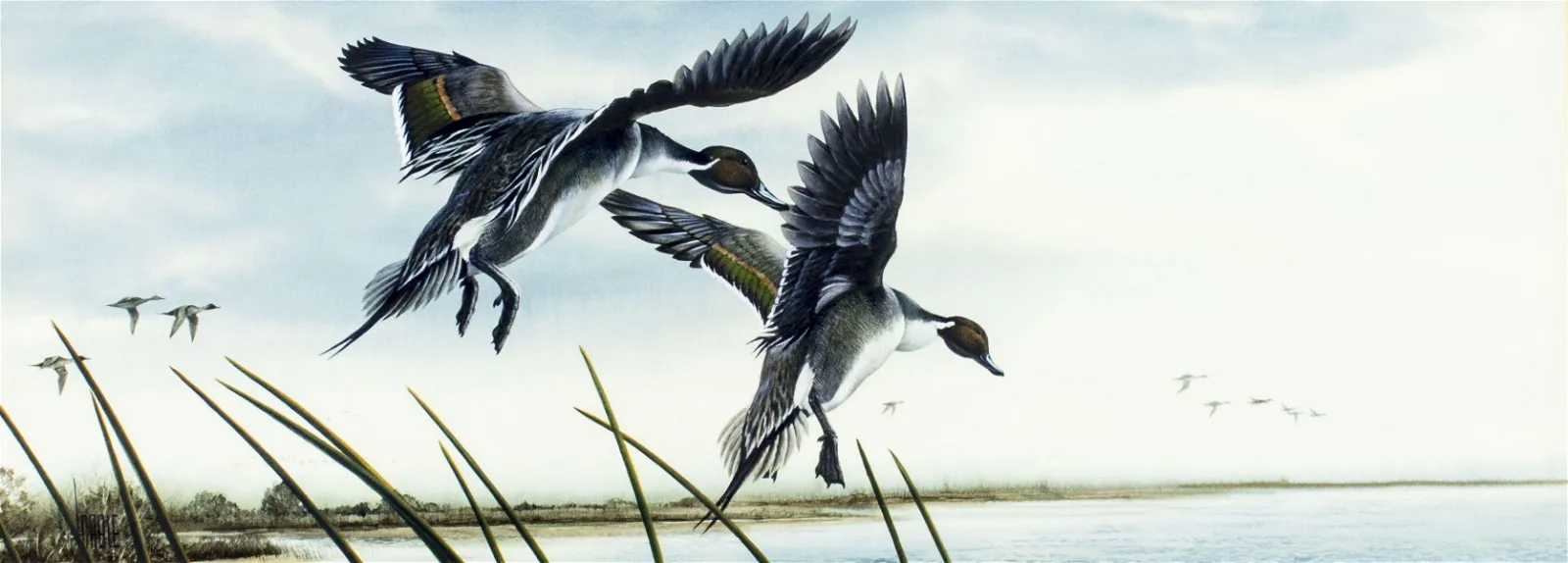Lee Cable | Ducks in Flight | MutualArt