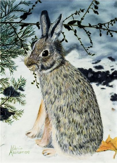 Doris Fry Heineman | Biography