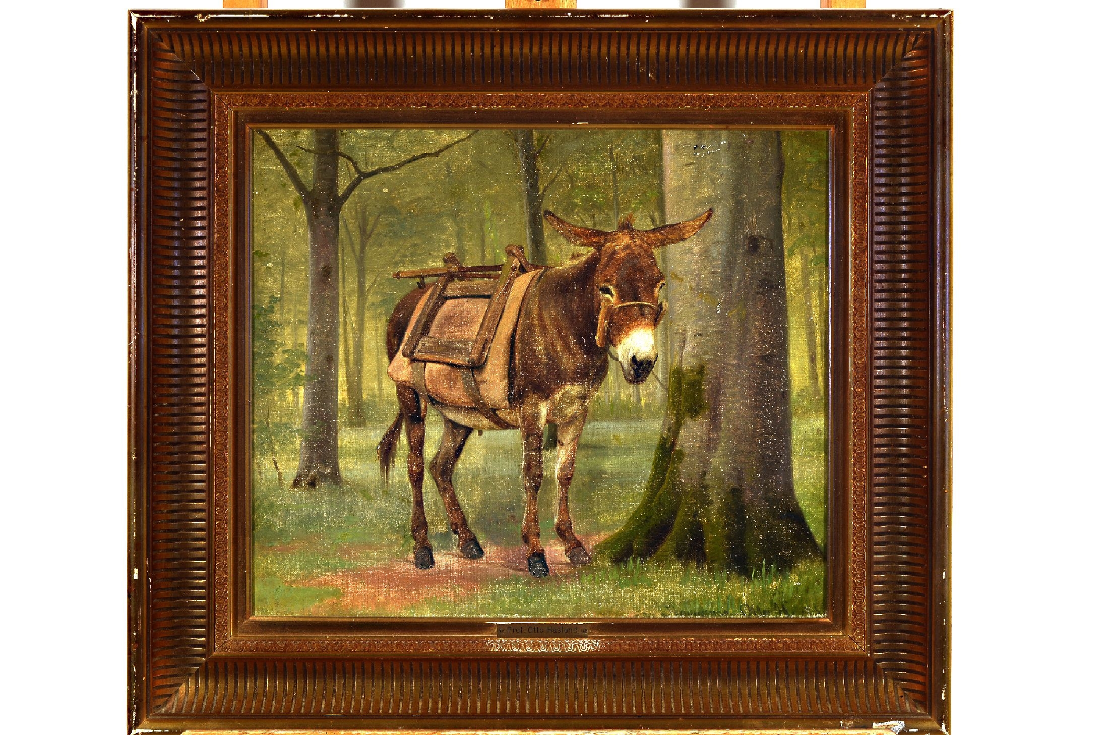 Otto Haslund | donkey | MutualArt