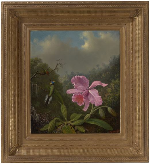 Martin Johnson Heade | Fighting Hummingbirds with Pink Orchid (1875 ...