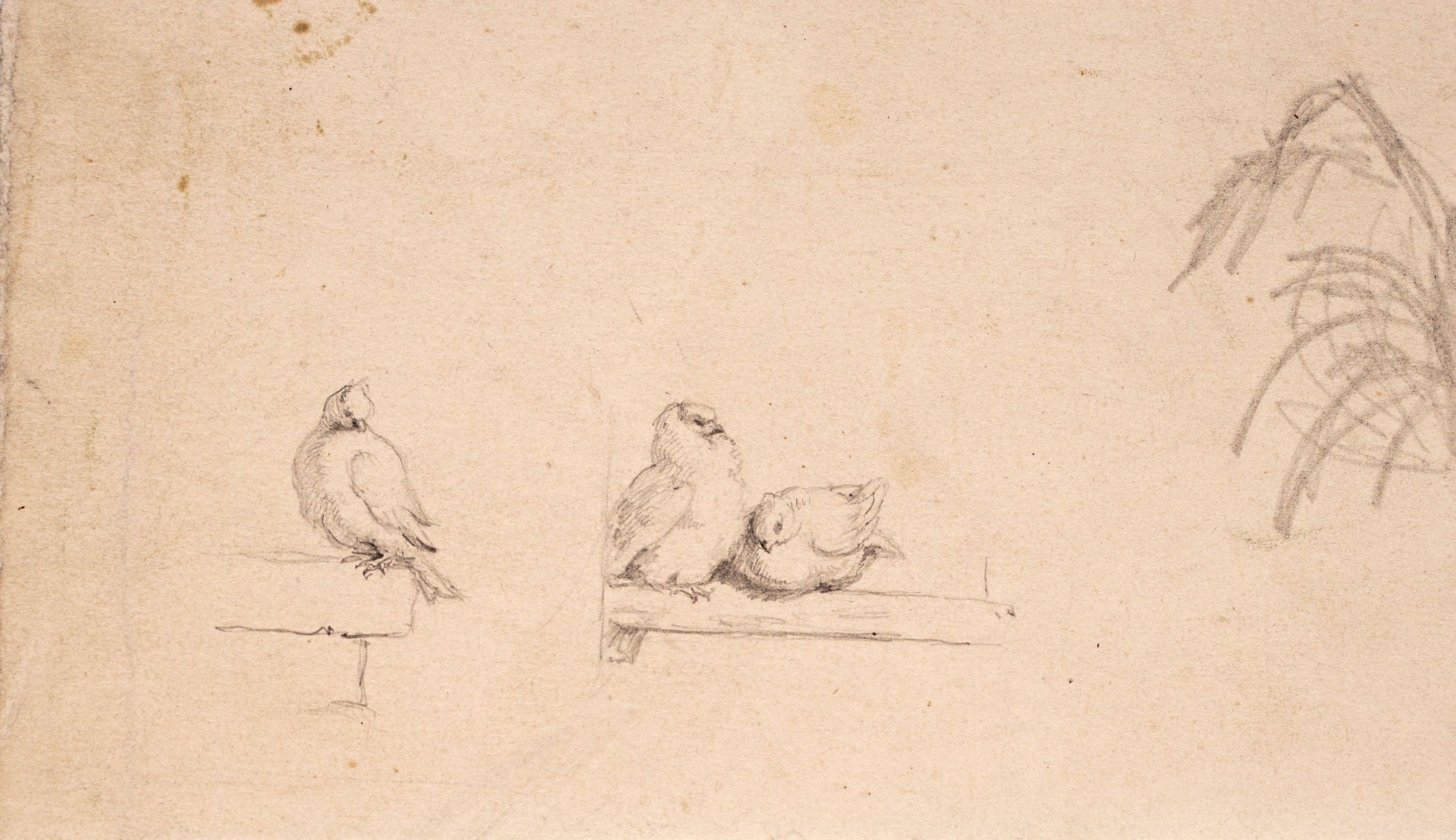 Emil Gottlieb Schuback | Emil Gottlieb Schuback, Vier Tierstudien ...