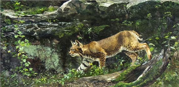 Travis Keese | Bobcat | MutualArt