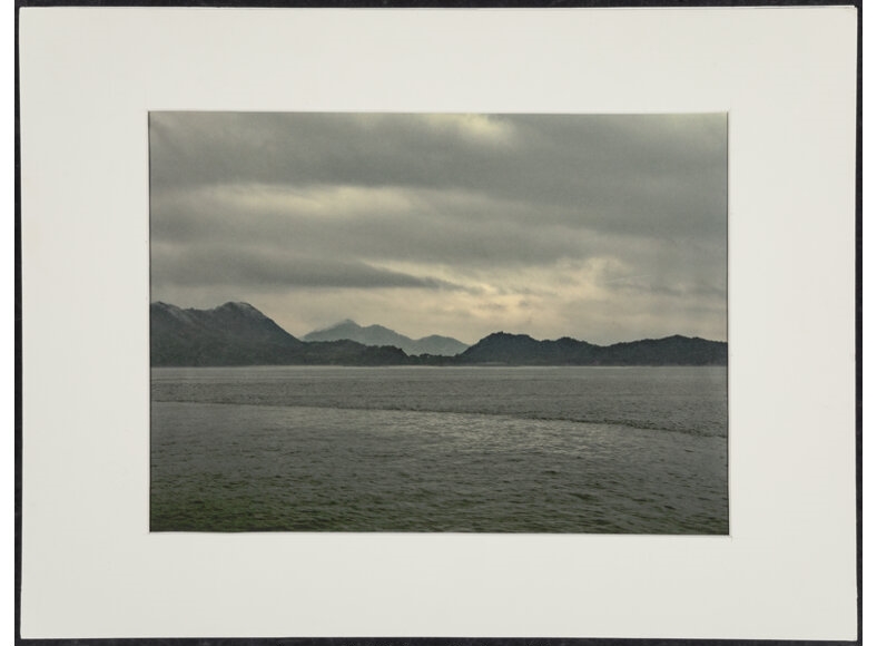 Susan Abrams | After the Storm | MutualArt