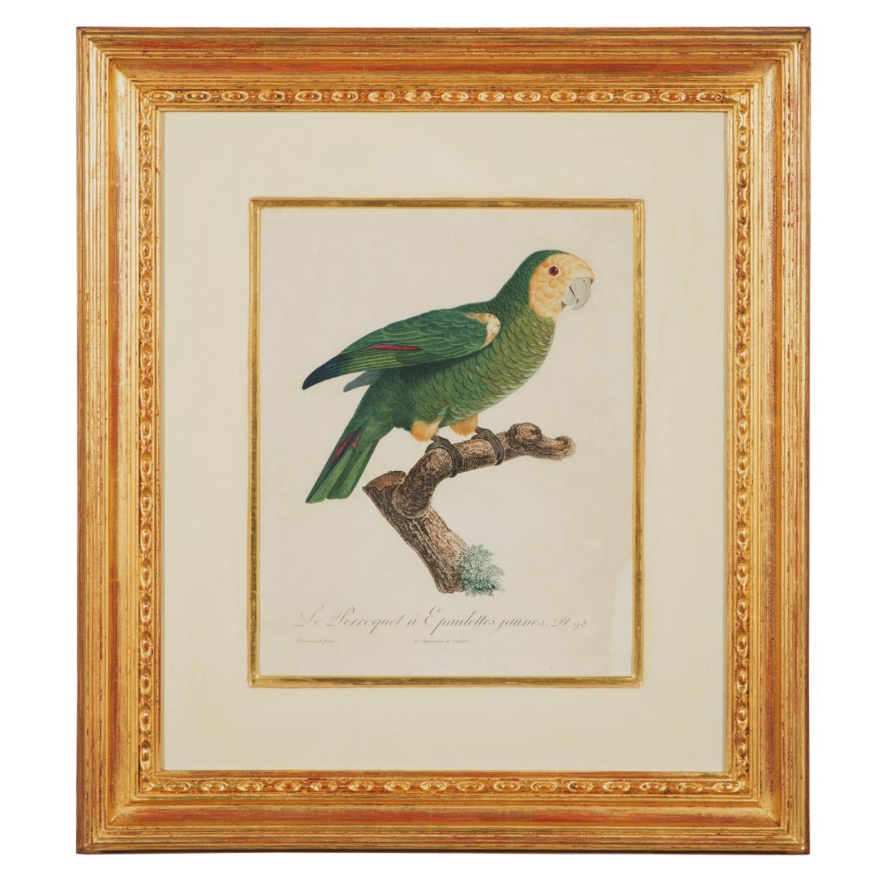 Jacques Barraband | Histoire Naturelle des Perroquets | MutualArt