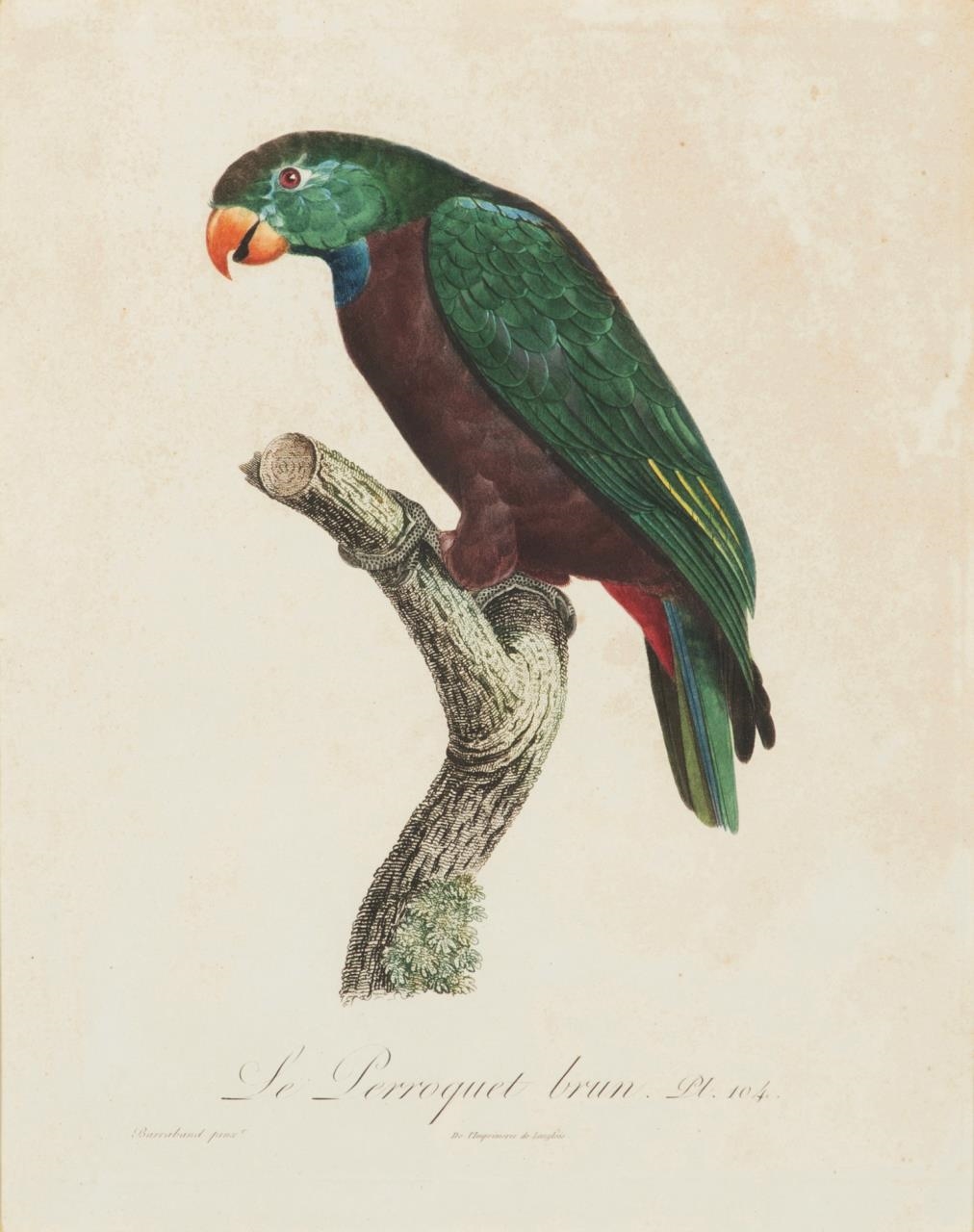 Jacques Barraband | Histoire Naturelle des Perroquets | MutualArt