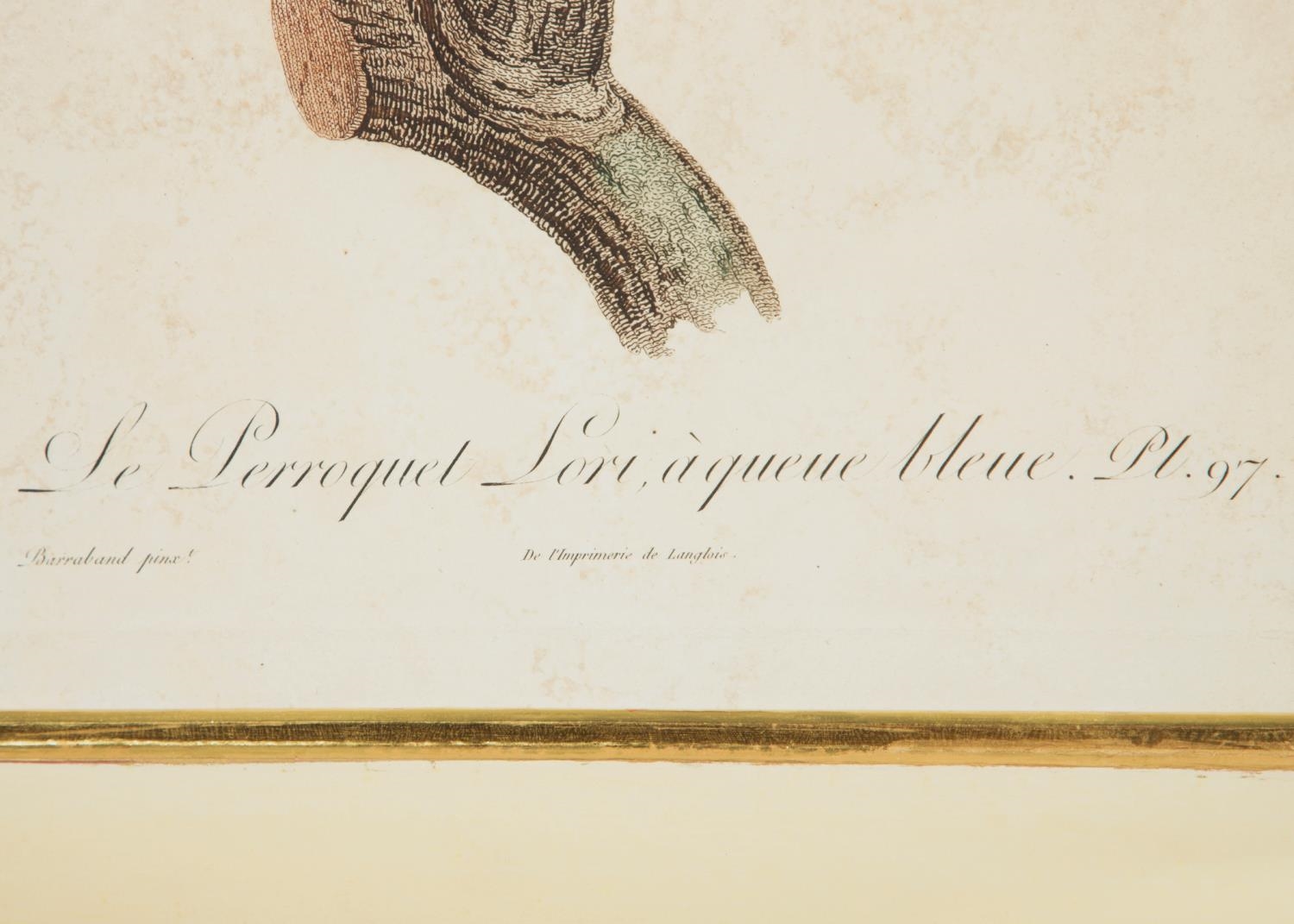 Jacques Barraband | Histoire Naturelle des Perroquets | MutualArt