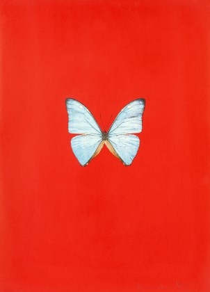 Damien Hirst | New Beginning : Red (2011) | MutualArt
