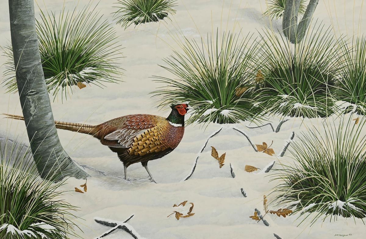 David Teague | Pheasant (1993) (1993) | MutualArt