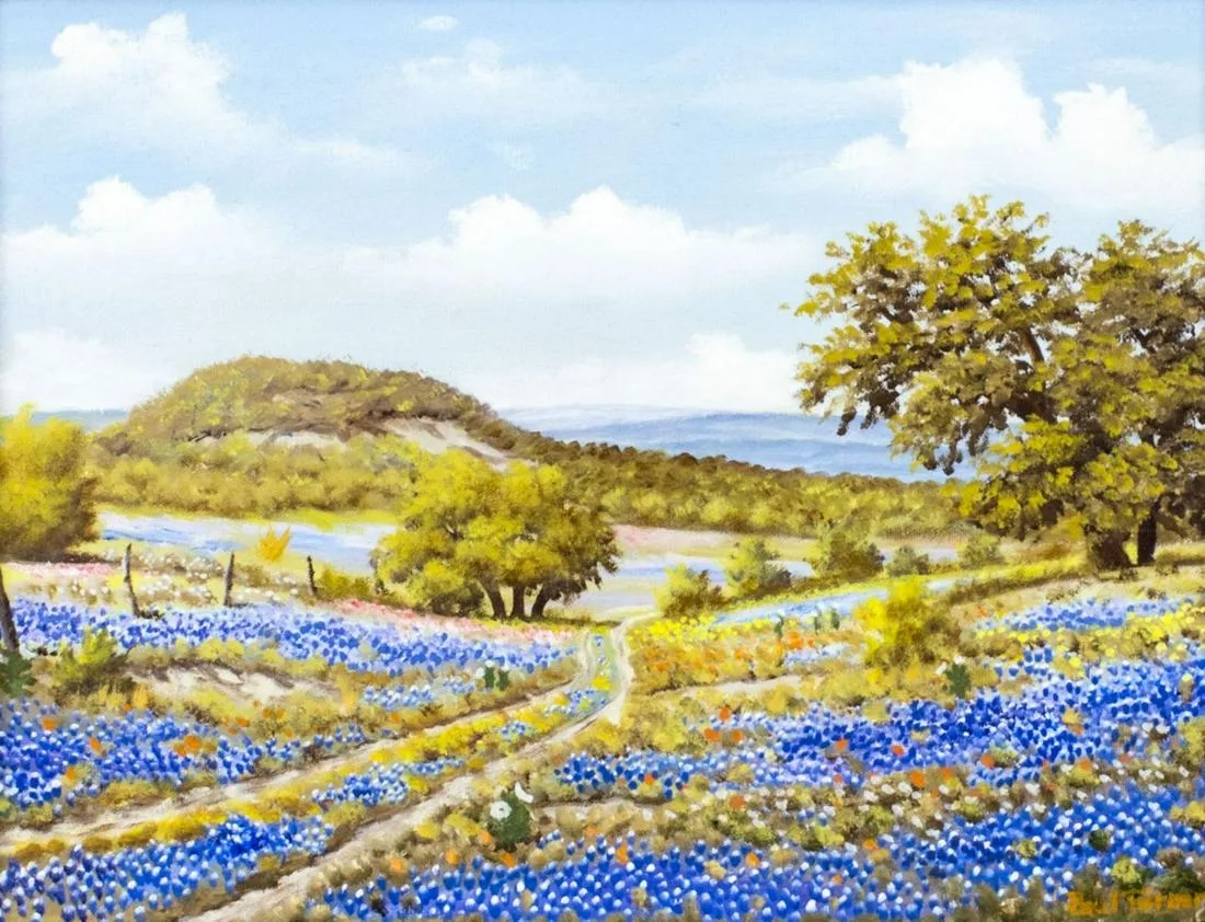 Paul Turner | Bluebonnets Landscape | MutualArt