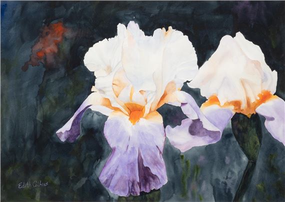 Edith Collins | Iris | MutualArt