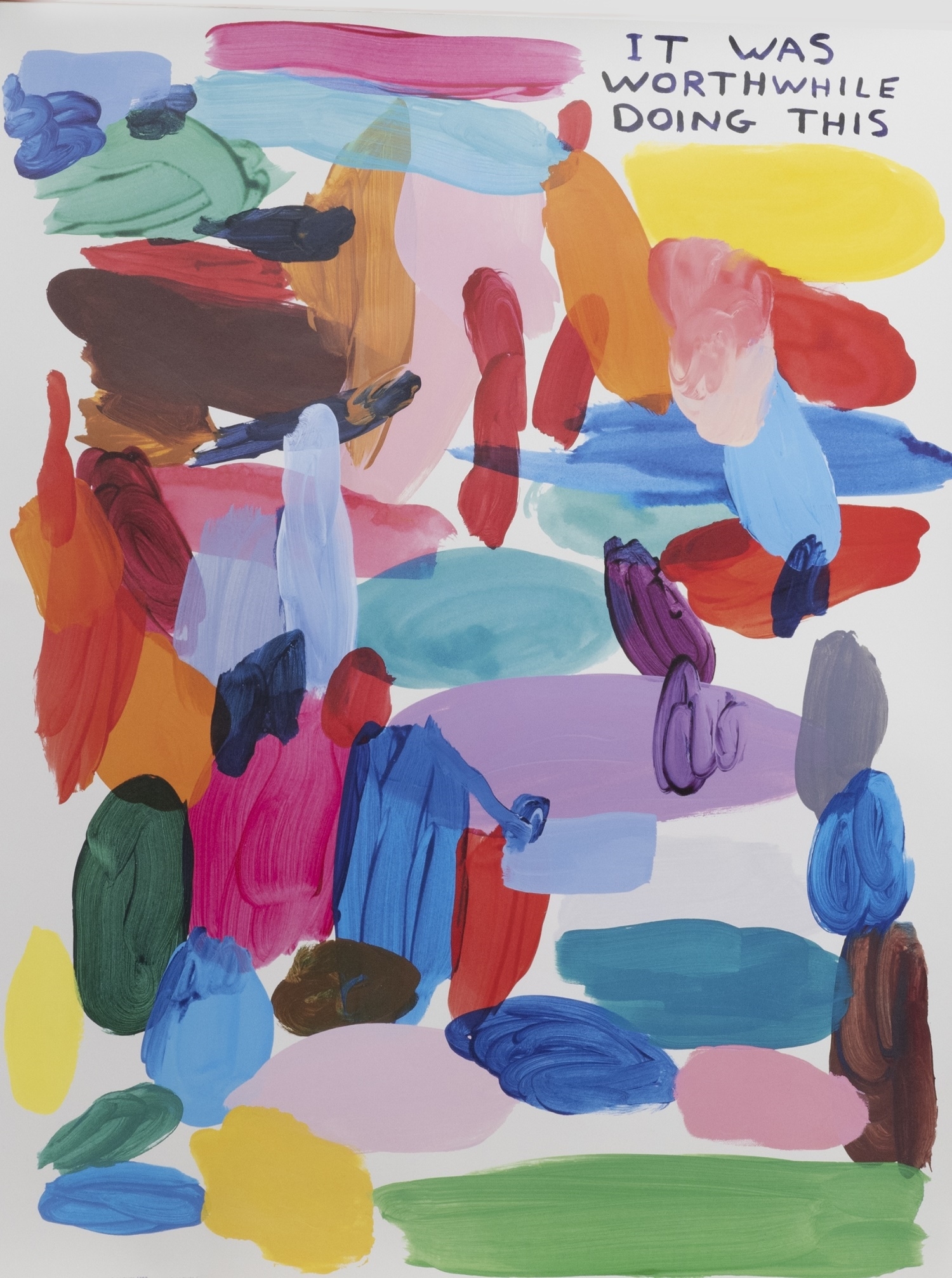 David Shrigley | IT WAS WORTHWHILE DOING THIS | MutualArt