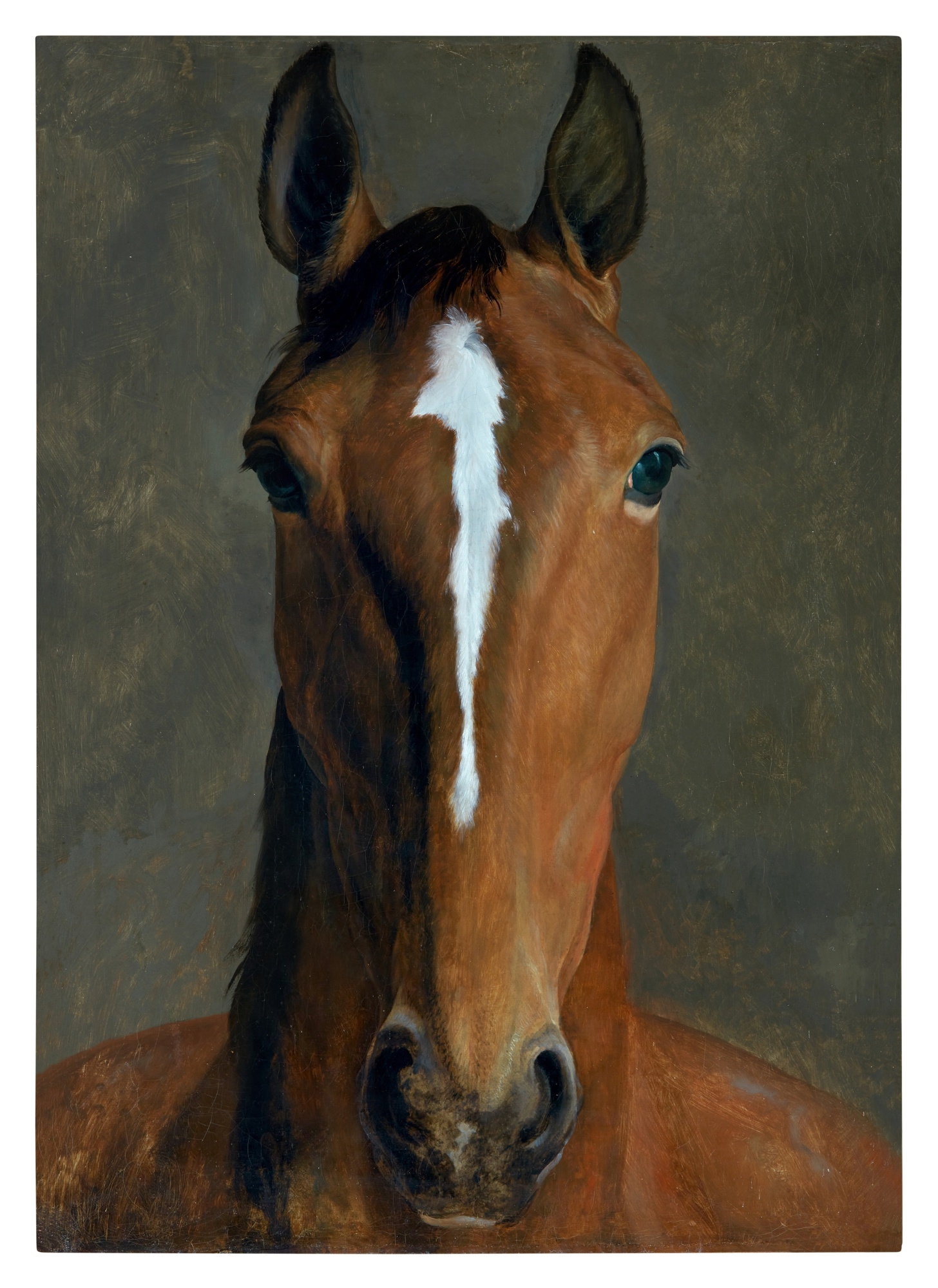 Jacques-Laurent Agasse | Portrait study of a bay horse, seen head-on ...