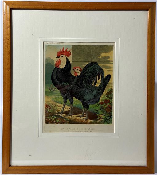 Joseph Williamson Ludlow | White-Faced Black Spanish, Cups for Chickens ...