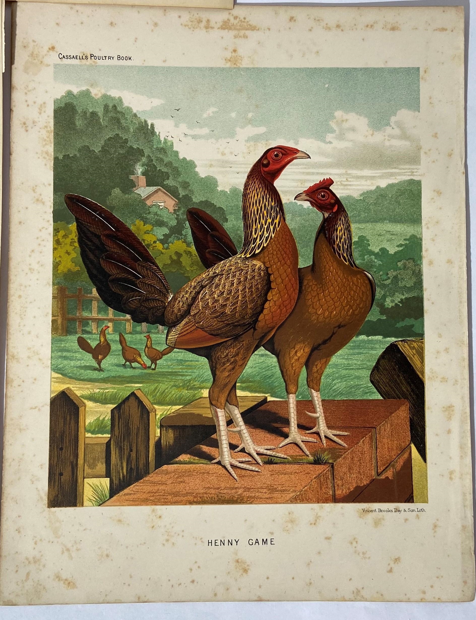 Joseph Williamson Ludlow | White-Faced Black Spanish | MutualArt