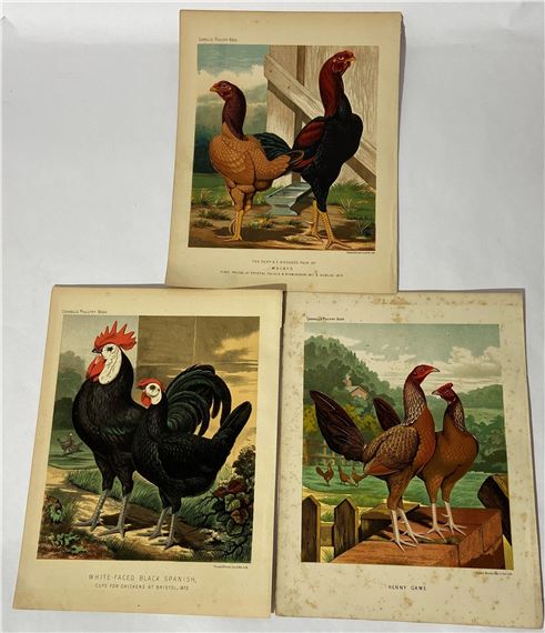 Joseph Williamson Ludlow | White-Faced Black Spanish | MutualArt