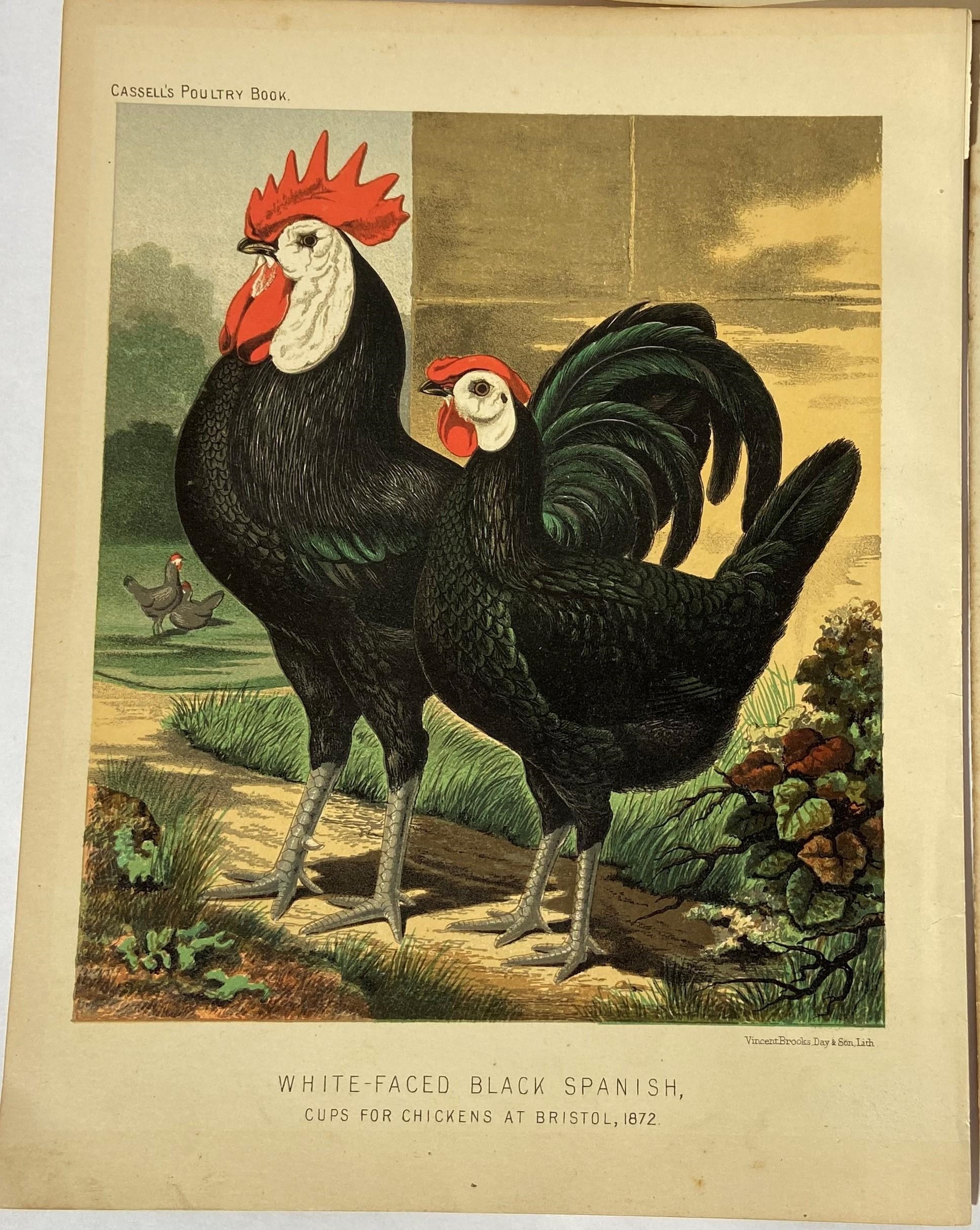 Joseph Williamson Ludlow | White-Faced Black Spanish | MutualArt