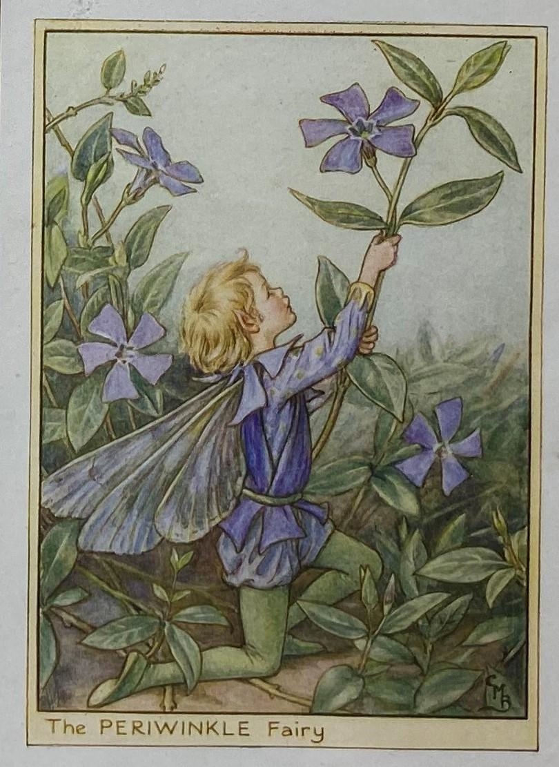 Cicely Mary Barker | Flower Fairies | MutualArt