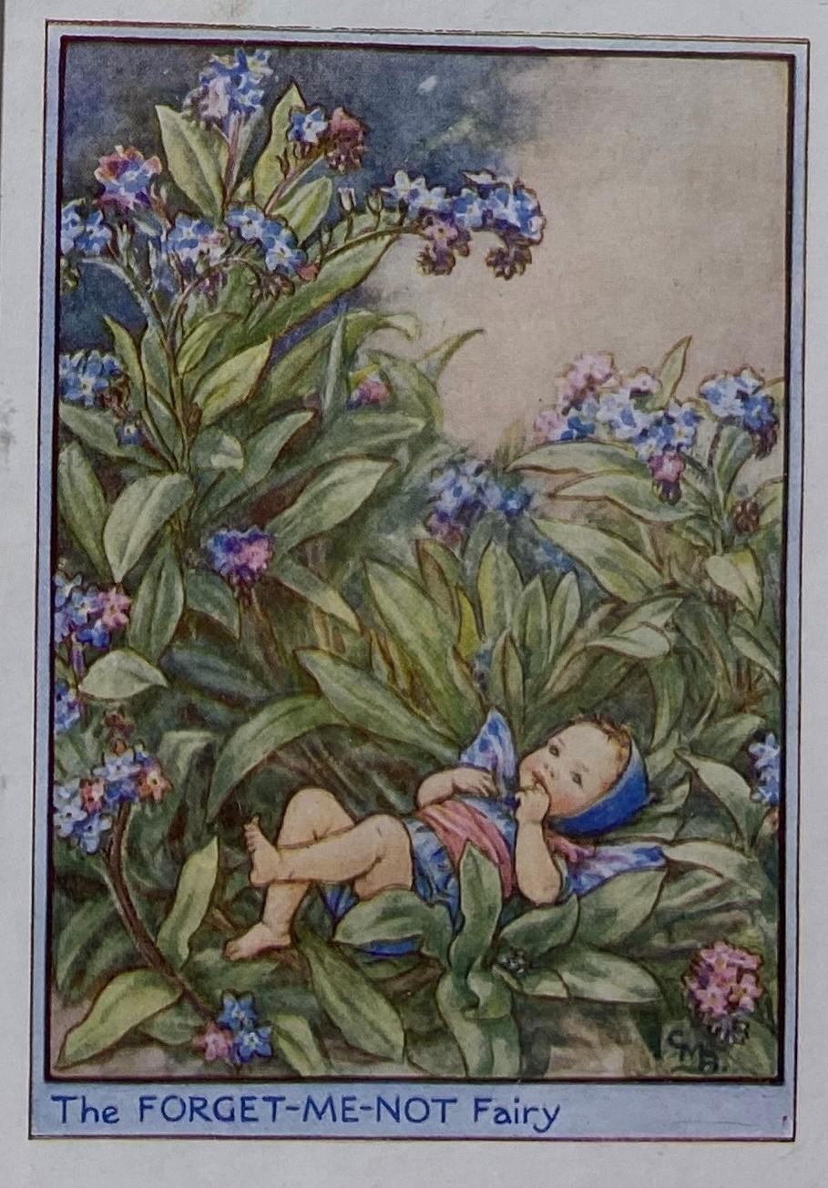 Cicely Mary Barker | Flower Fairies | MutualArt