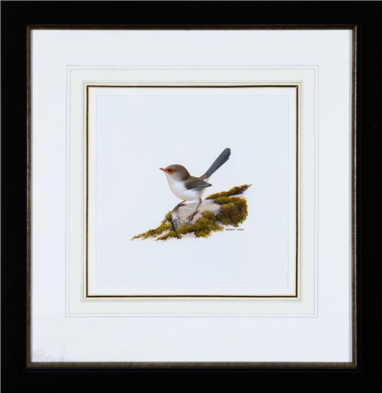 Jeremy Boot | A blue wren (2007) | MutualArt