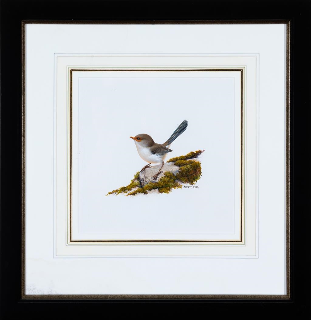 Jeremy Boot | A blue wren (2007) | MutualArt