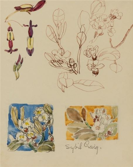 Sybil Craig | NATURE STUDIES | MutualArt