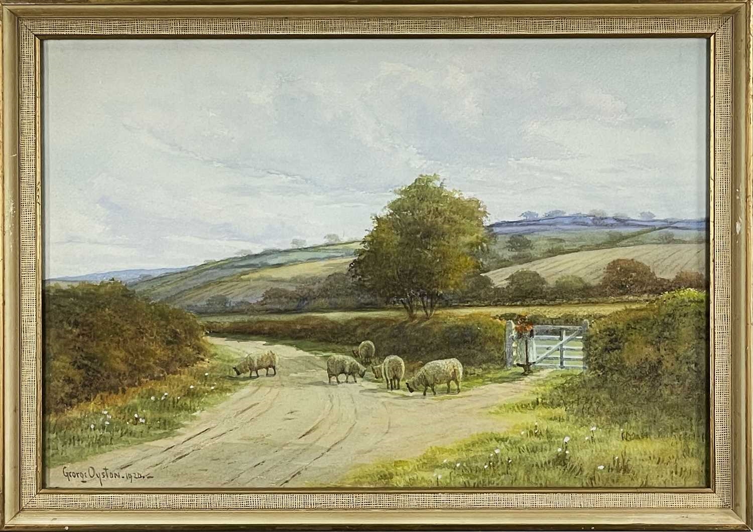George Oyston | rural scenes of sheep grazing and walking in lane ...