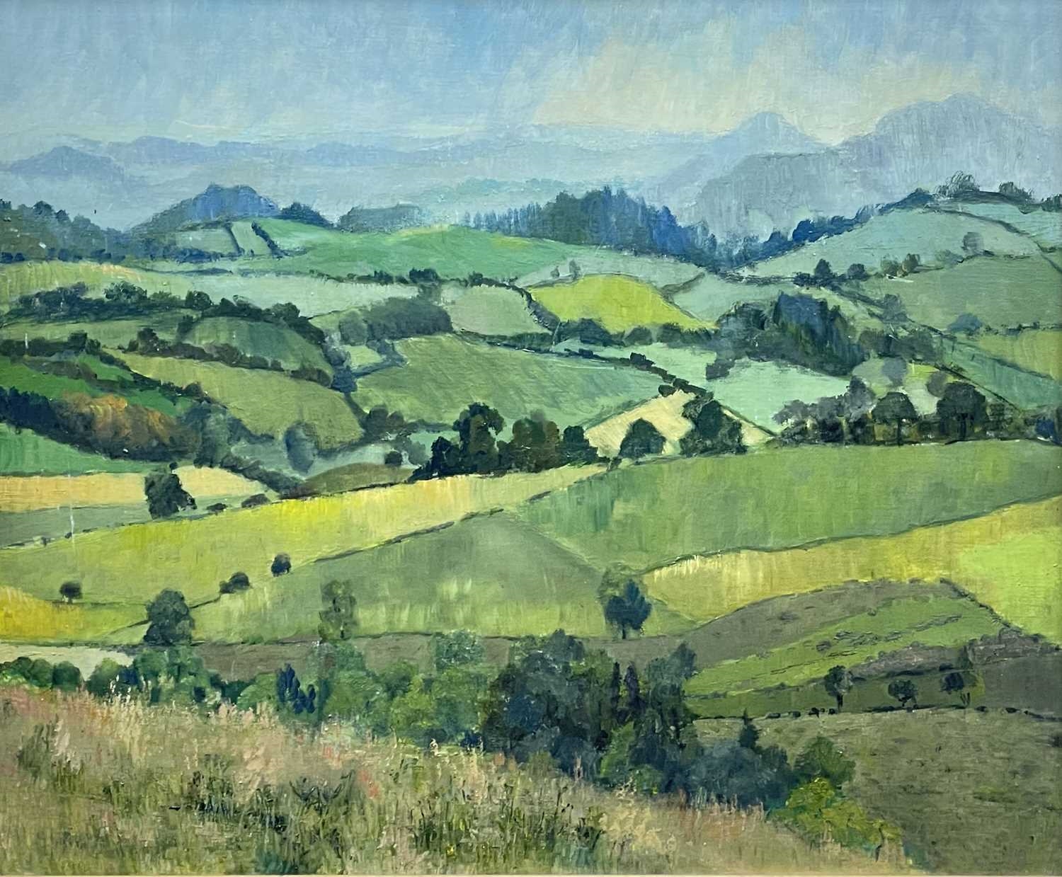 William Mackay | Welsh landscape from Allt-Y-Rhyw (1973) | MutualArt
