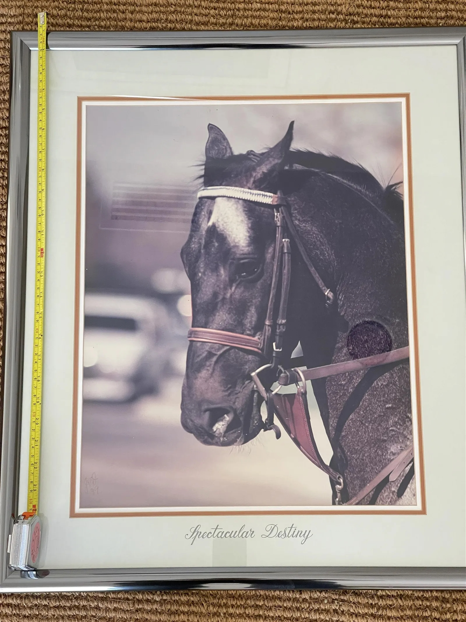 Jenness Cortez | HORSE OF THE YEAR (1989) | MutualArt