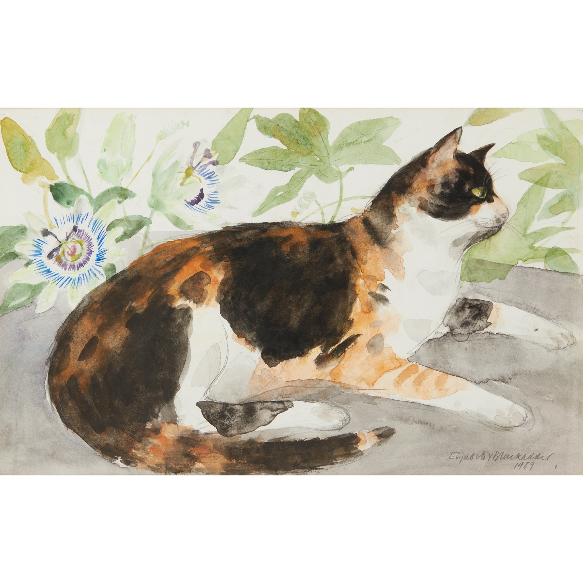 Elizabeth Blackadder | TORTOISESHELL CAT AND PASSION FLOWERS - 1989 ...