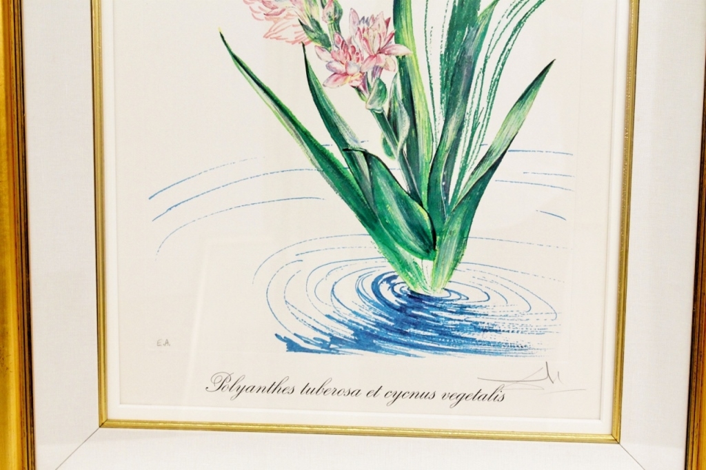 Salvador Dalí | Dali Water Hybiscus Swan Lithograph, Signed | MutualArt