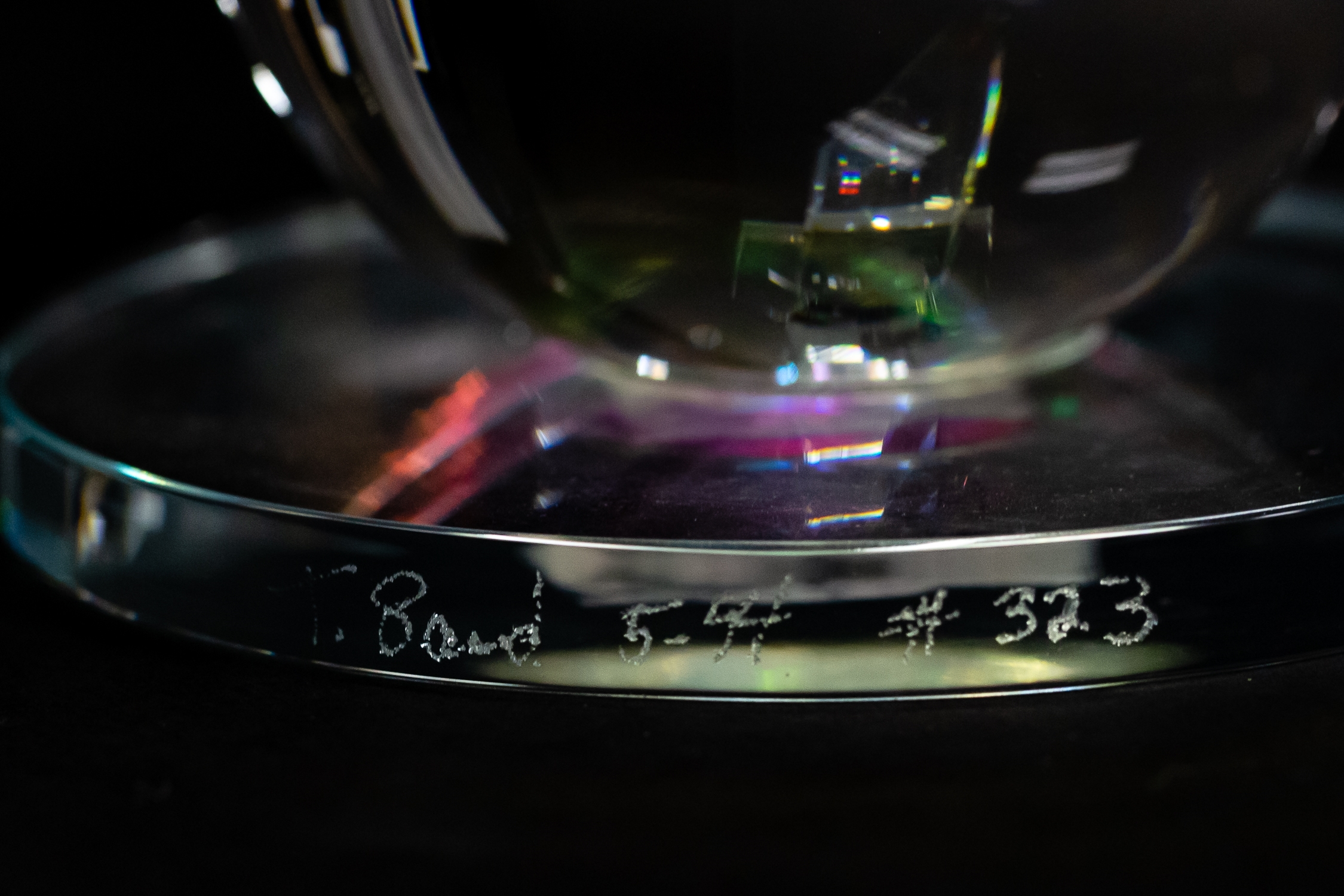 Toland Peter Sand | Toland Peter Sand Art Glass / Crystal Sculpture ...