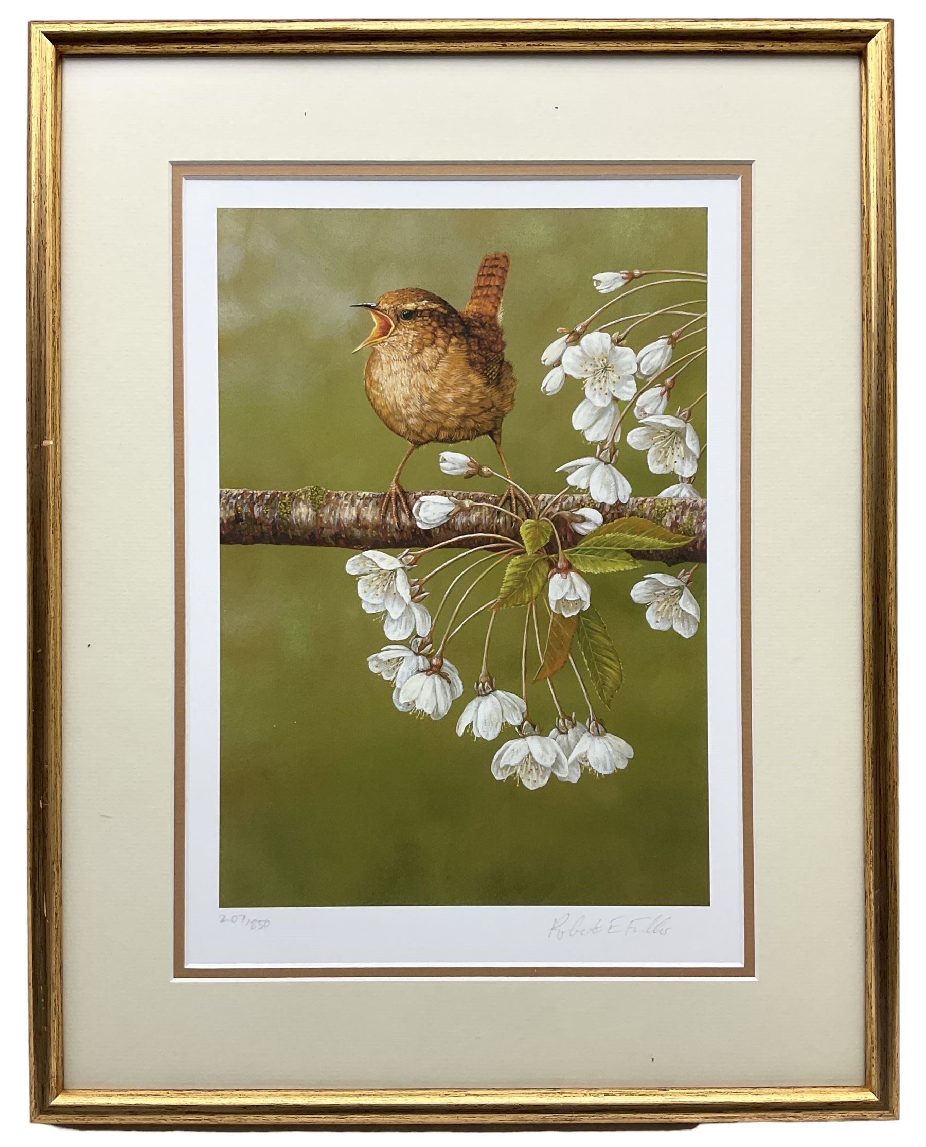 Robert E. Fuller | Wren on Cherry Blossom | MutualArt