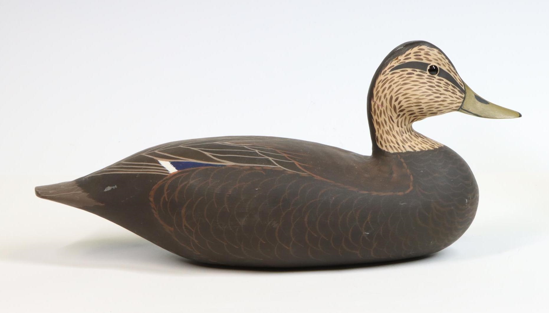 Don Keller | Atlantic Brant male goose | MutualArt