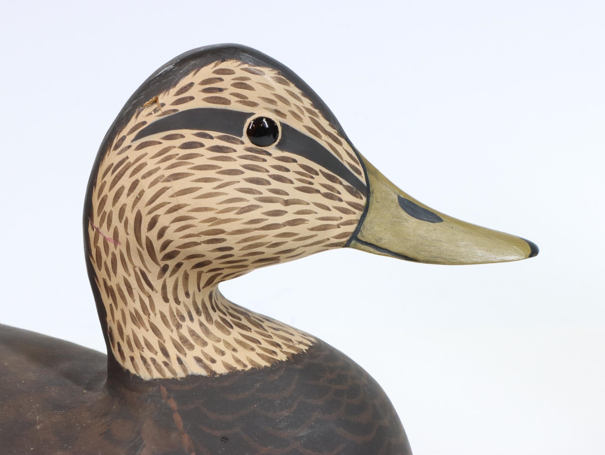 Don Keller | Atlantic Brant male goose | MutualArt