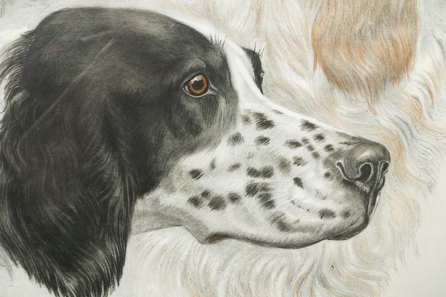 Leon Danchin | Leon Danchin, Three Spaniels Etching | MutualArt